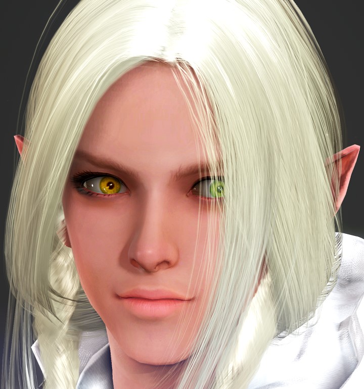 Raychel | Ranger | Beauty Album | Garmoth.com - BDO Companion