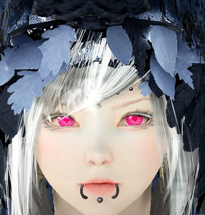 Alice? | Ranger | Beauty Album | Garmoth.com - BDO Companion