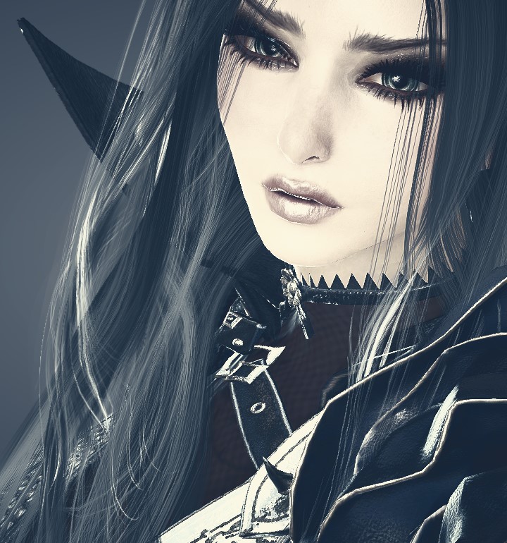 Blue | Dark Knight | Beauty Album | Garmoth.com - BDO Companion
