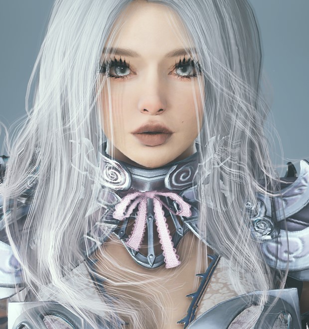 Silver Knight | Dark Knight | Beauty Album | Garmoth.com - BDO Companion
