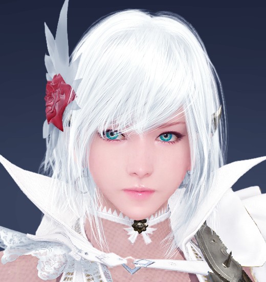 another White DK | Dark Knight | Beauty Album | Garmoth.com - BDO Companion