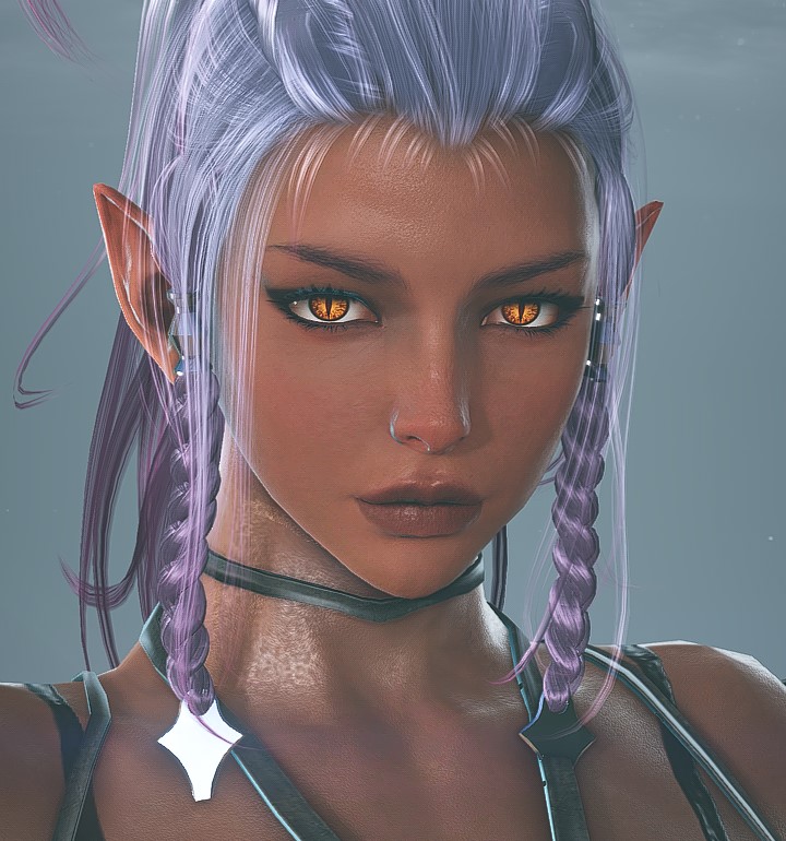 Dementra | Dark Knight | Beauty Album | Garmoth.com - BDO Companion