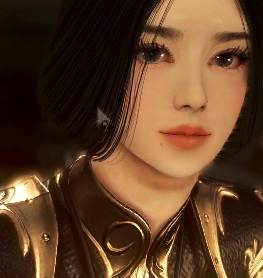 6546453 | Lahn | Beauty Album | Garmoth.com - BDO Companion