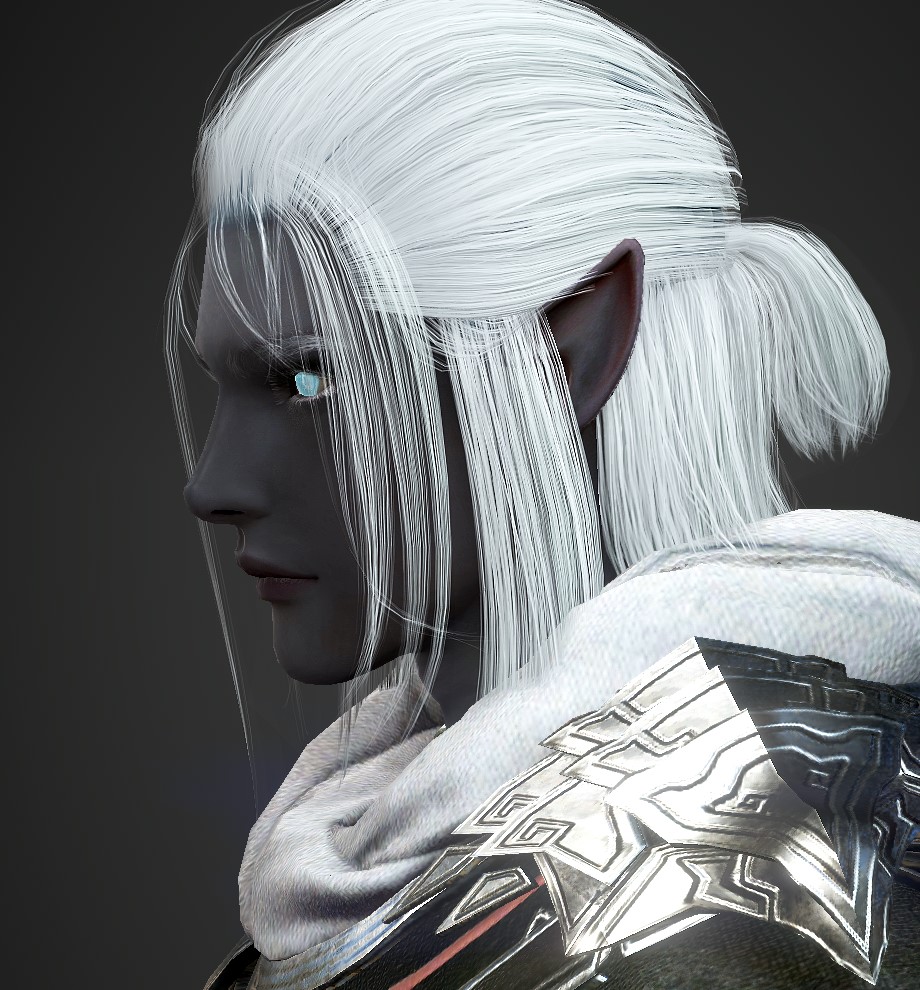 Drow | Archer | Beauty Album | Garmoth.com - BDO Companion