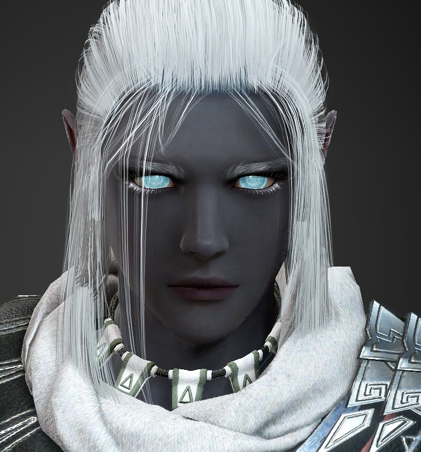 Drow | Archer | Beauty Album | Garmoth.com - BDO Companion