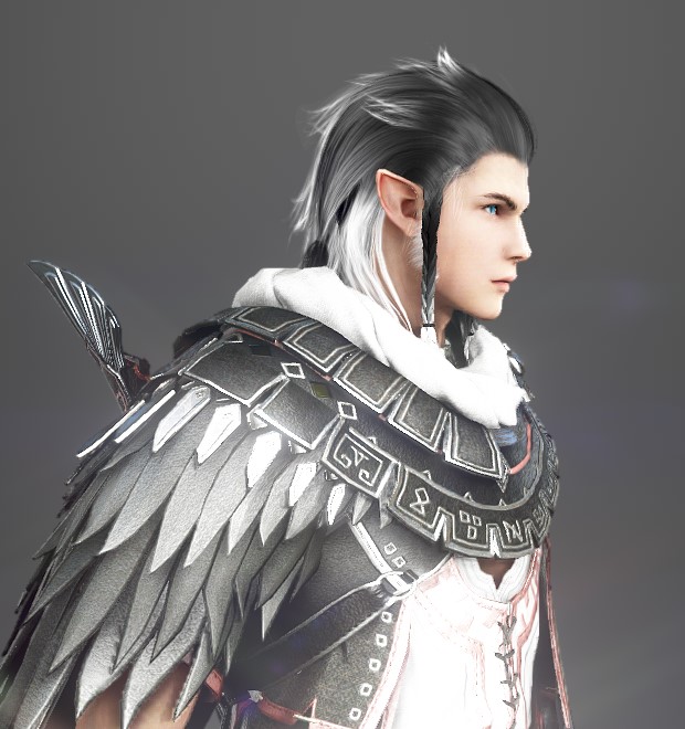 Archer | Beauty Album | Garmoth.com - BDO Companion