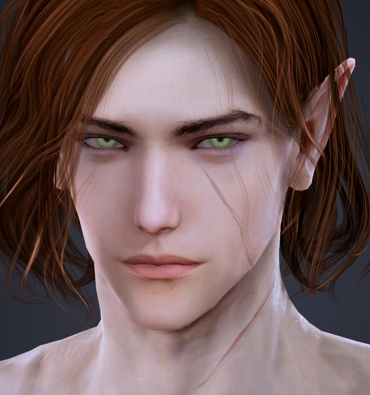 Archer | Archer | Beauty Album | Garmoth.com - BDO Companion