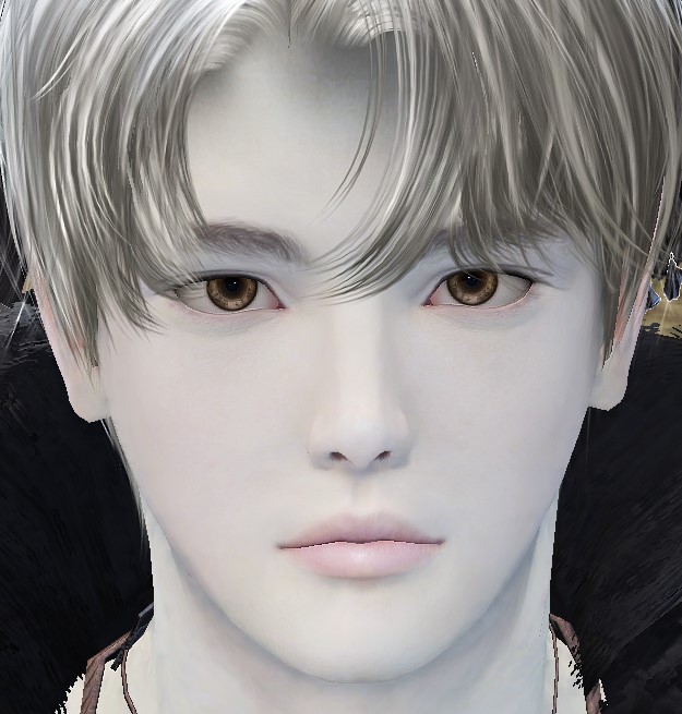 아처 | Archer | Beauty Album | Garmoth.com - BDO Companion
