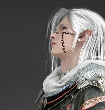 Archer | Beauty Album | Garmoth.com - BDO Companion