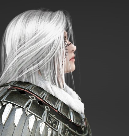 Archer | Beauty Album | Garmoth.com - BDO Companion
