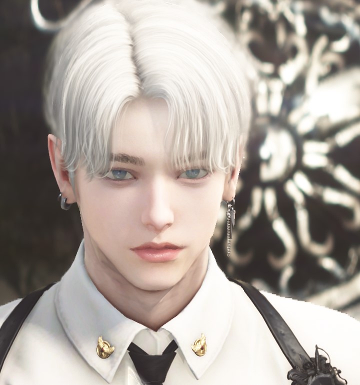 아처 | Archer | Beauty Album | Garmoth.com - BDO Companion