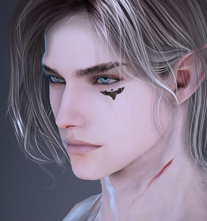 Archer | Archer | Beauty Album | Garmoth.com - BDO Companion