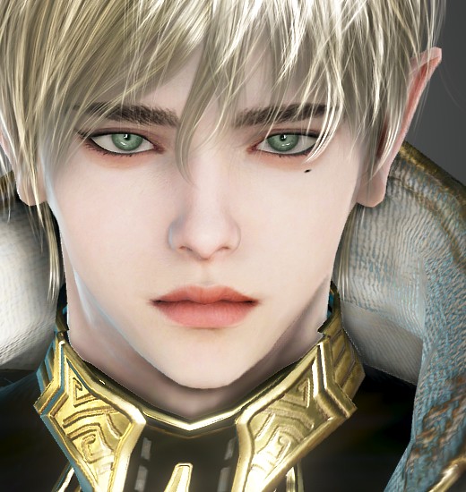 엘프에요 | Archer | Beauty Album | Garmoth.com - BDO Companion