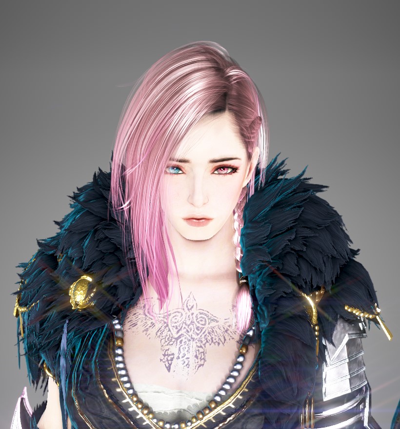 Slagathor | Guardian | Beauty Album | Garmoth.com - BDO Companion