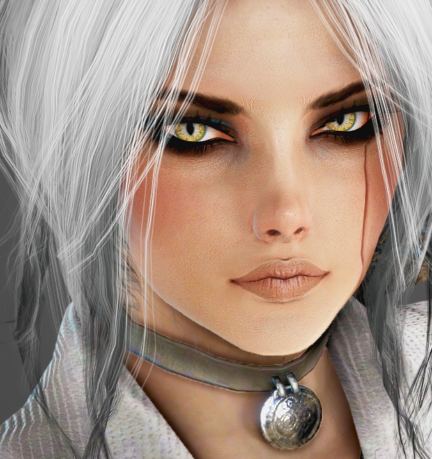 Ciri (Witcher) | Sorceress | Beauty Album | Garmoth.com - BDO Companion