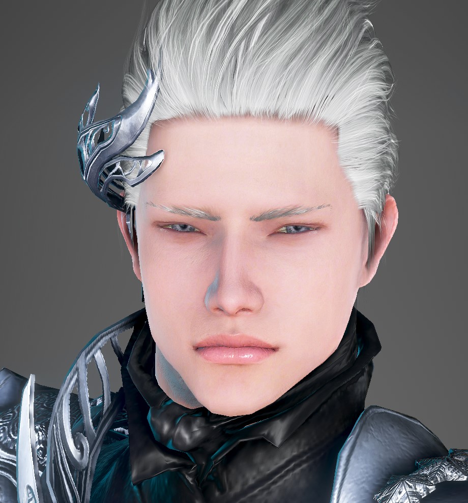 Vergil | Dosa | Beauty Album | Garmoth.com - BDO Companion