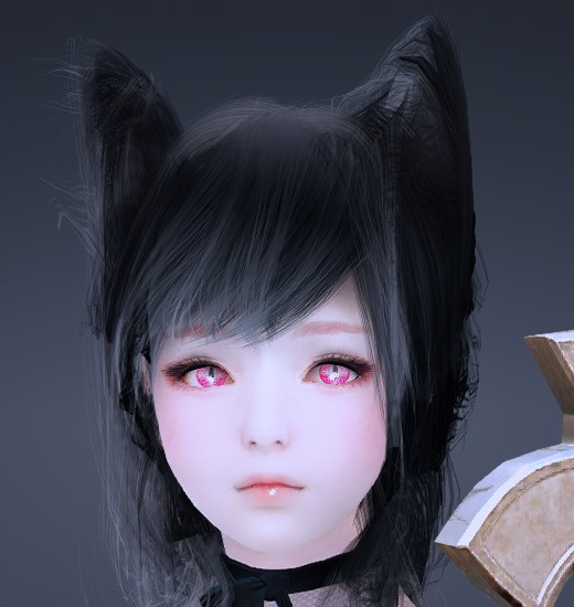 Neko | Witch | Beauty Album | Garmoth.com - BDO Companion