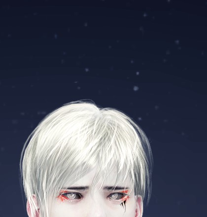 wasdwasd | Wizard | Beauty Album | Garmoth.com - BDO Companion
